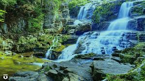 Cascade – tamil translation, meaning, synonyms, pronunciation, antonyms ...