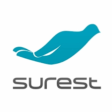 Surest – japanese translation, meaning, synonyms, pronunciation ...
