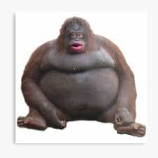 Stinky – hindi translation, meaning, synonyms, pronunciation, antonyms ...