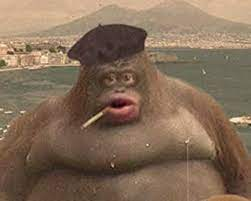 Stinky – hindi translation, meaning, synonyms, pronunciation, antonyms ...