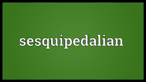 Sesquipedalian – bengali translation, meaning, synonyms, pronunciation ...